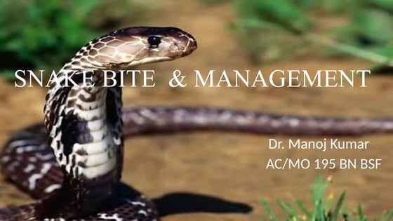 Snakebite | PPT | First Aid | Injuries