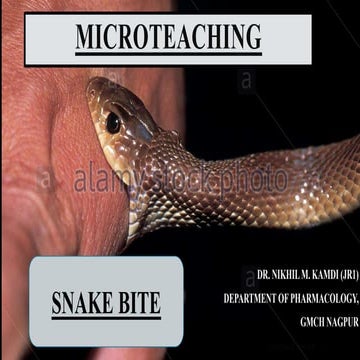 snake bite ppt final.pptx