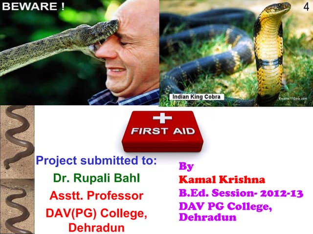 Basic safety against snake bite at work place | PPTX