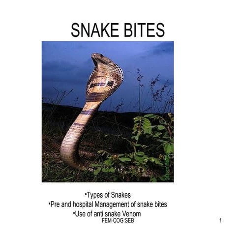 TYPES OF INCISIONS. presentation lecture | PPTX