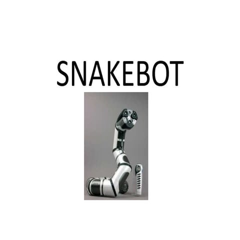 Snakebot | PPTX