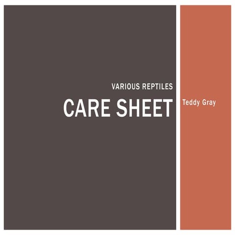 Reptile Care Sheet | PPTX