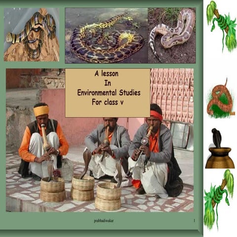 Snakecharmer's story | PPT