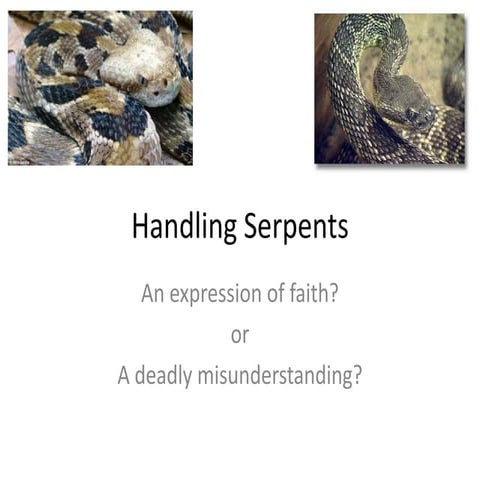 Snake handling | PPTX | Reptiles | Pets