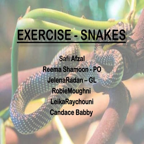 Snake Exercise Presentation | PPTX