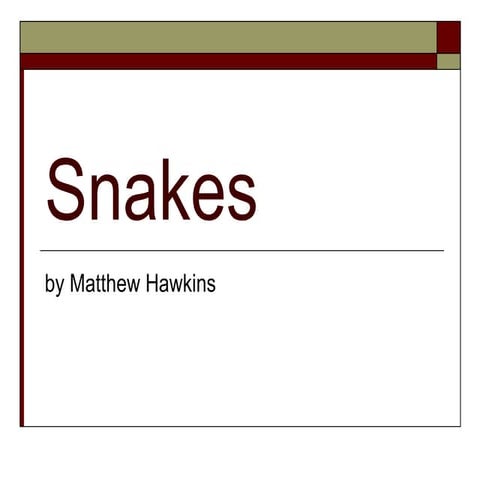 Snakes | PPT