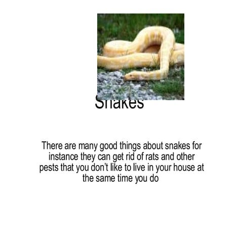 Snakes | PPT