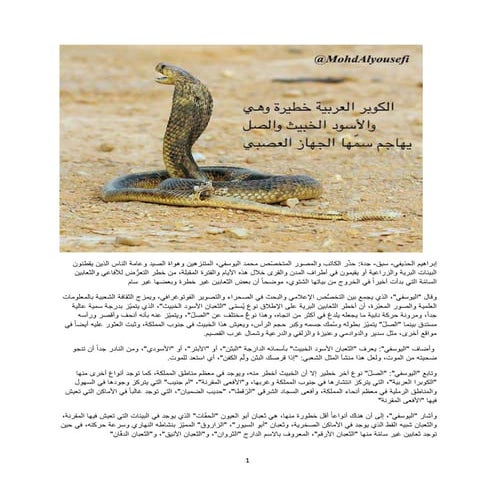 Snakes in KSA.docx