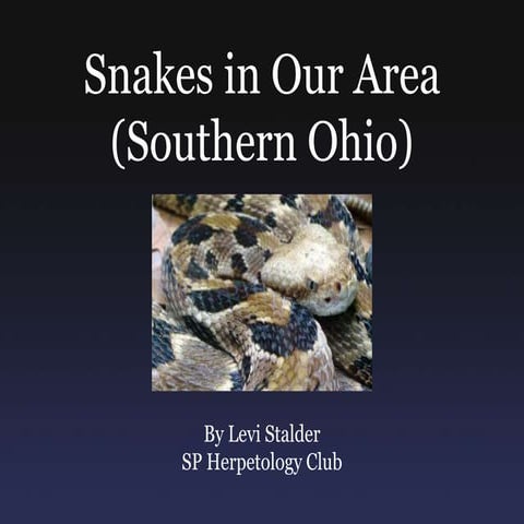 Snakes of Southern Ohio | PPTX