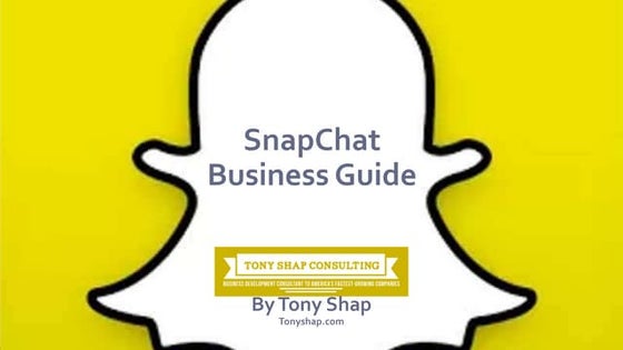 CardConnect B2B Sample Statement | PDF