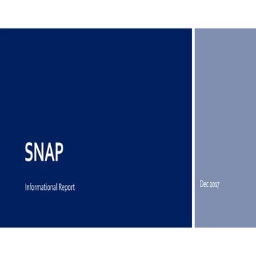 Snap Inc. - Informational Report | PPTX
