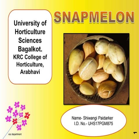 Snapmelon | PPTX