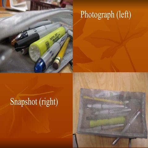 Snapshot vs photograph | PPT