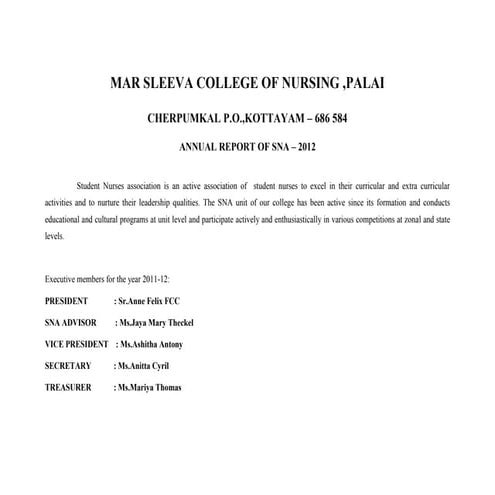 Sna report | DOCX