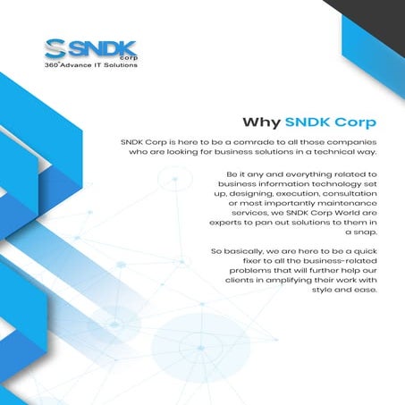 Learn about SNDK CORP | PDF