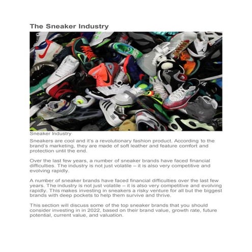 Sneakers Industry And The Great Investment.docx