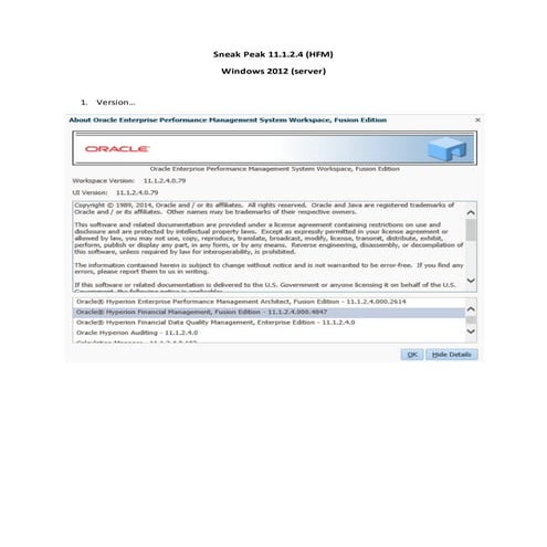 HFM 11.1.2.4 Sneak peak | DOCX