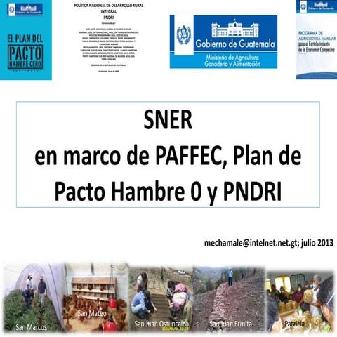 sner-paffec-pndri_general (1).pptx