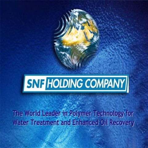 SNF Holding Company Overview | PPT
