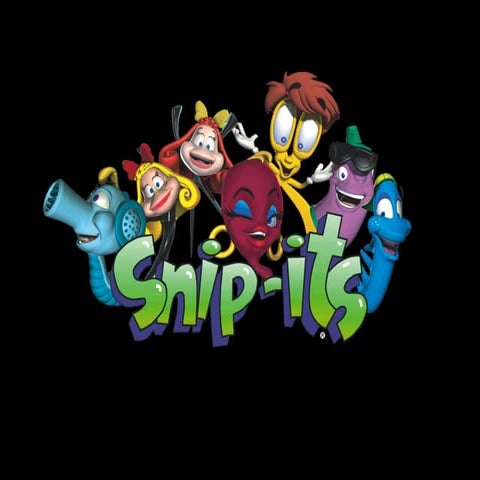 Snip-its Franchise Information Webinar | PPTX