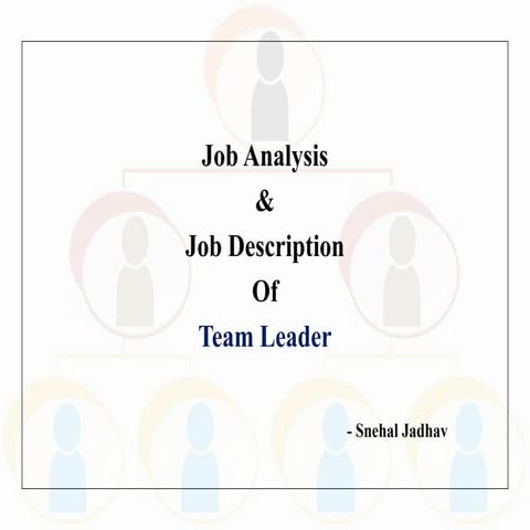 Job Description of Team Leader | PDF