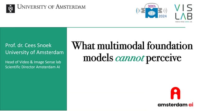 What Multimodal Foundation Models Cannot Perceive Ppt