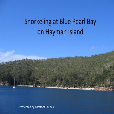 Snorkelling At Blue Pearl Bay | PPT