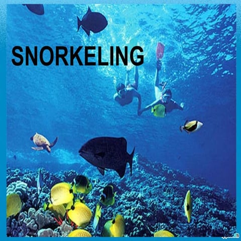 SNORKELING | PPTX