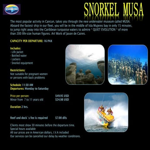 Snorkel musa | PPT