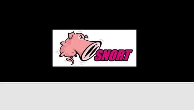 Snort Logo