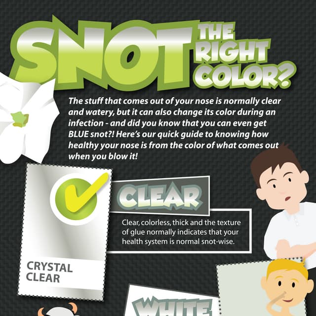 Snot infographic | PDF