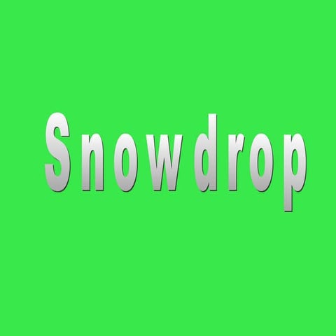 Snowdrop | PPT