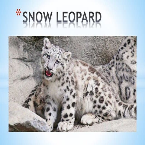 Snow leopard | PPTX