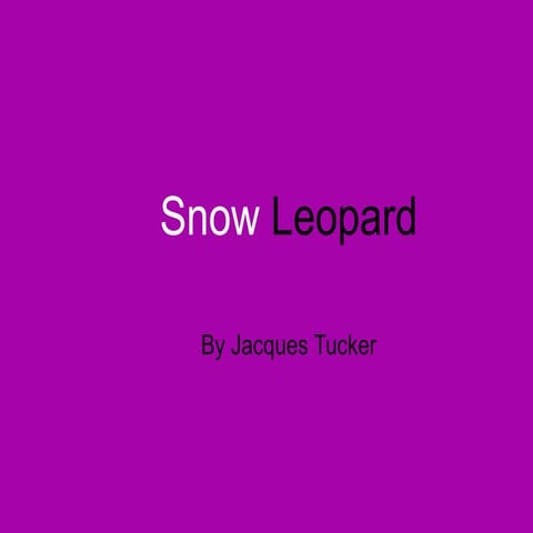 Snow leopard | PPT