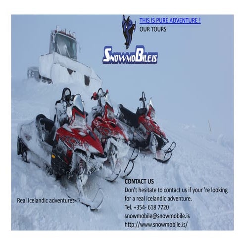 Snowmobile tours | PDF