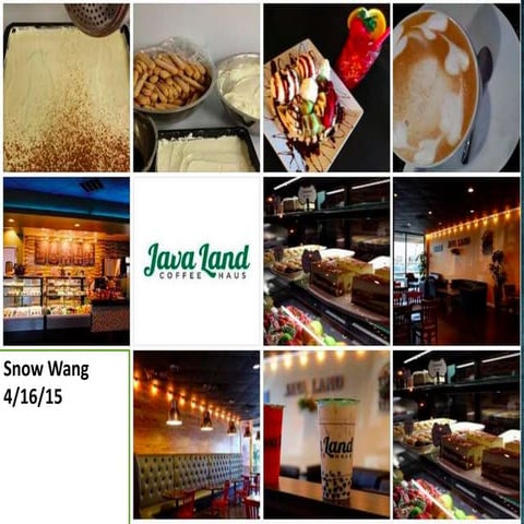 Observation research case introduce - Java Land | PPT