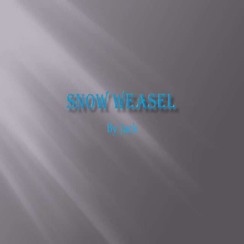 Snow weasel | PPT