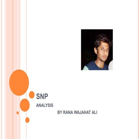 Snp by wajahahat ali | PPT