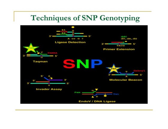 Single nucleotide polymorphism, (SNP) | PPT | Chemistry | Science
