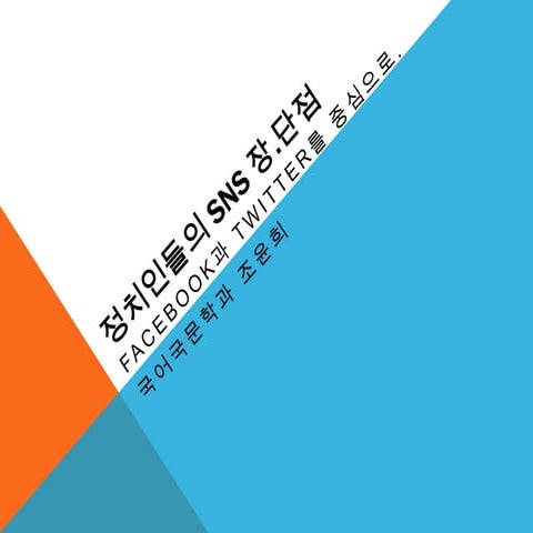 정치인들의 Sns 장단점 | PPT