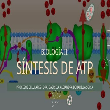 SÍNTESIS DE ATP - POR GABRIELA ALEJANDRA BOBADILLA SORIA.pptx