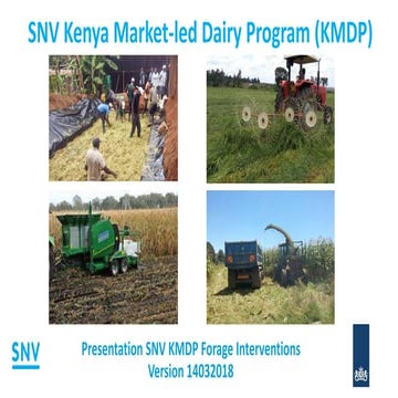 SNV-KMDP Forage Interventions in Kenya | PDF