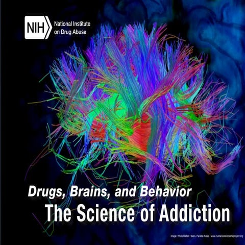 Neuroscience of drug abuse and drug addiction | PPT
