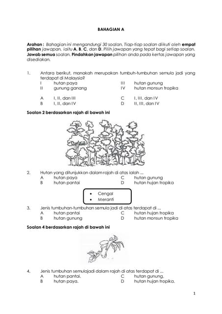 Laporan bergambar aktiviti sekolah | DOCX