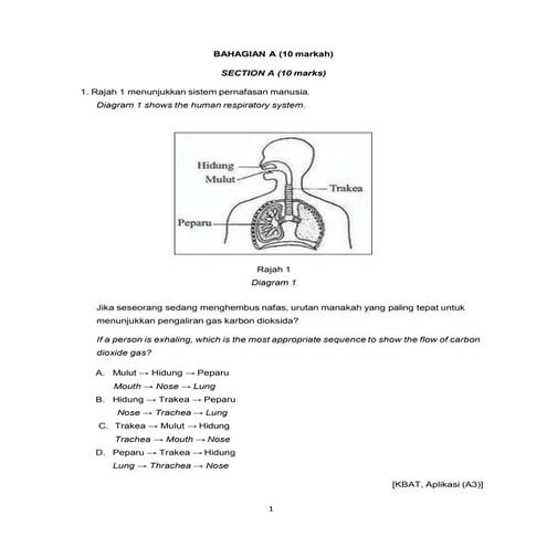 PROSES HIDUP MANUSIA | PDF