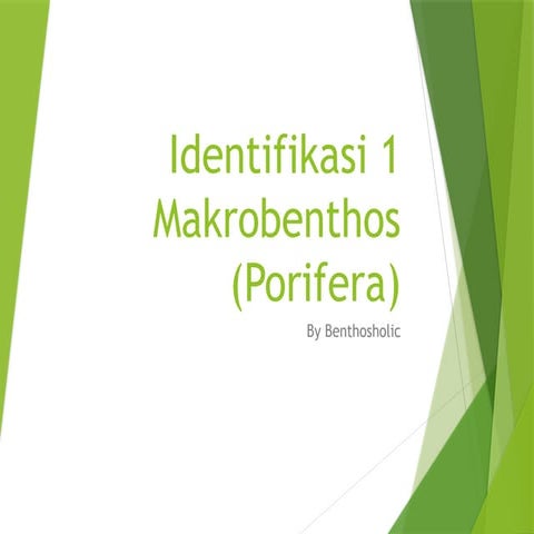 Soal Ident Quiz Indentifikasi macrobenthos Ch1 Porifera .pptx