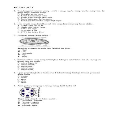 contoh soal UN SMA\ | DOCX