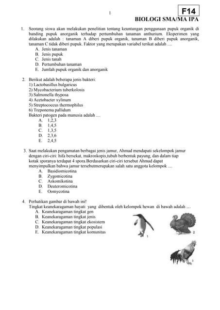 Soal uh biologi kelas viii bab pertumbuhan & perkembangan | DOCX