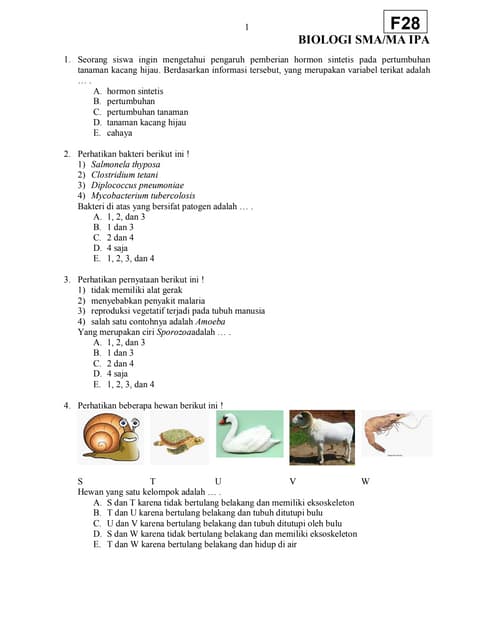 Soal sma biologi_f20 | PDF