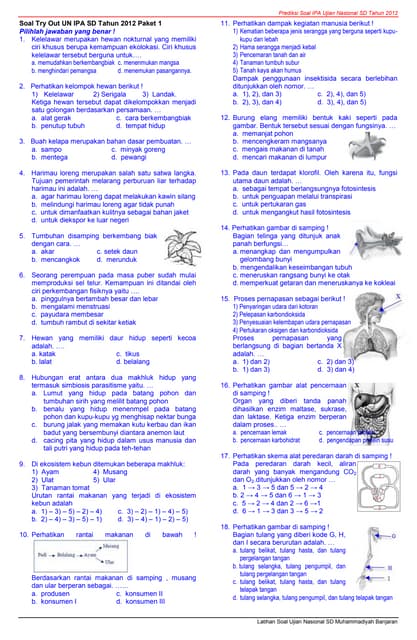 Latihan soal ujian nasional matematika sd | PDF